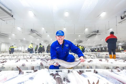 Peterhead Fish Company - Cruden Bay Life